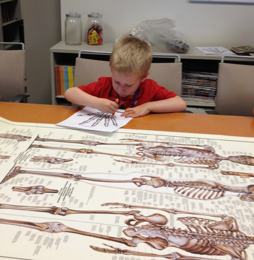 ASU bioarchaeologist introduces preschoolers to science, lab work | ASU ...